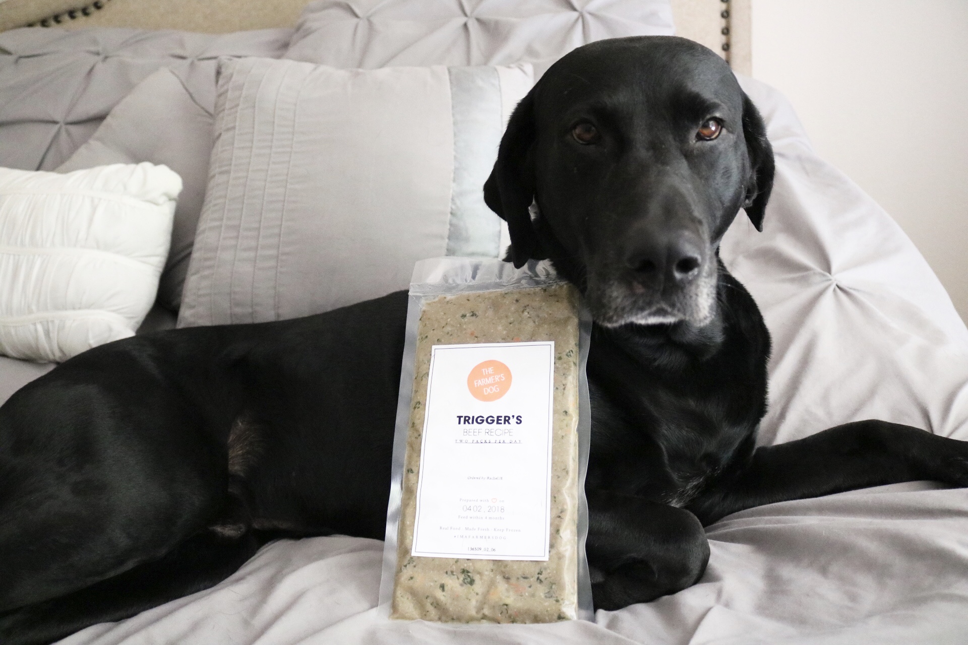 My Two-Week Trial with “The Farmer’s Dog” Homemade Dog Food - The Bark ...